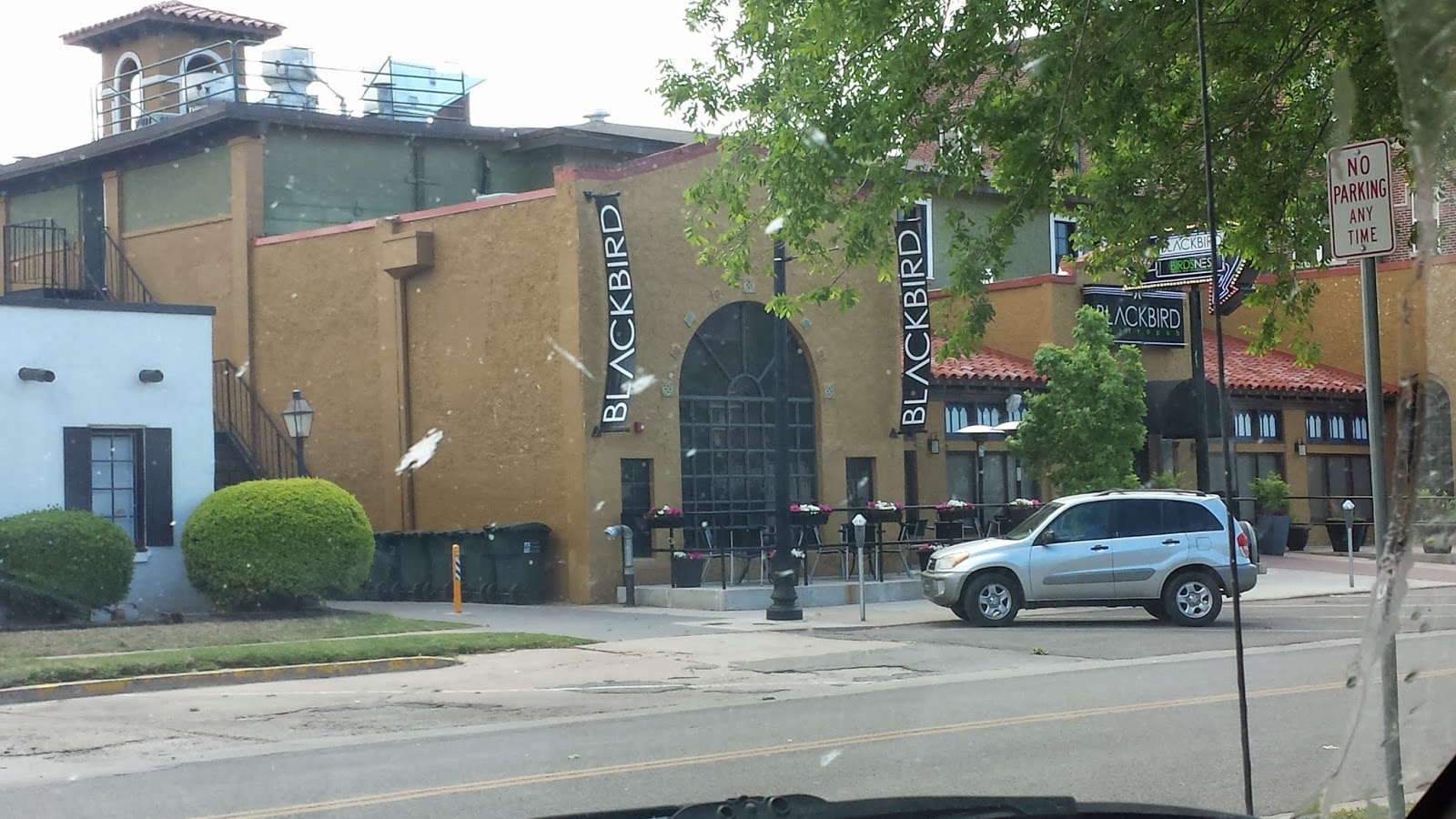 Our Lives and the Buildings In Them: Blackbird - David Sires